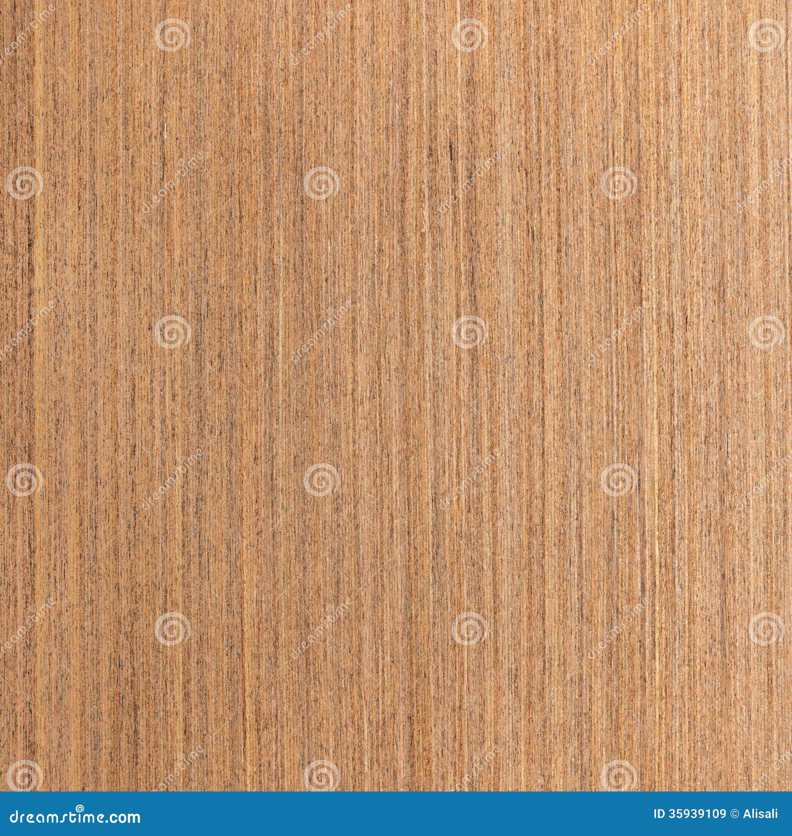 Wenge wood texture, veneer stock image. Image of cutting - 35939109