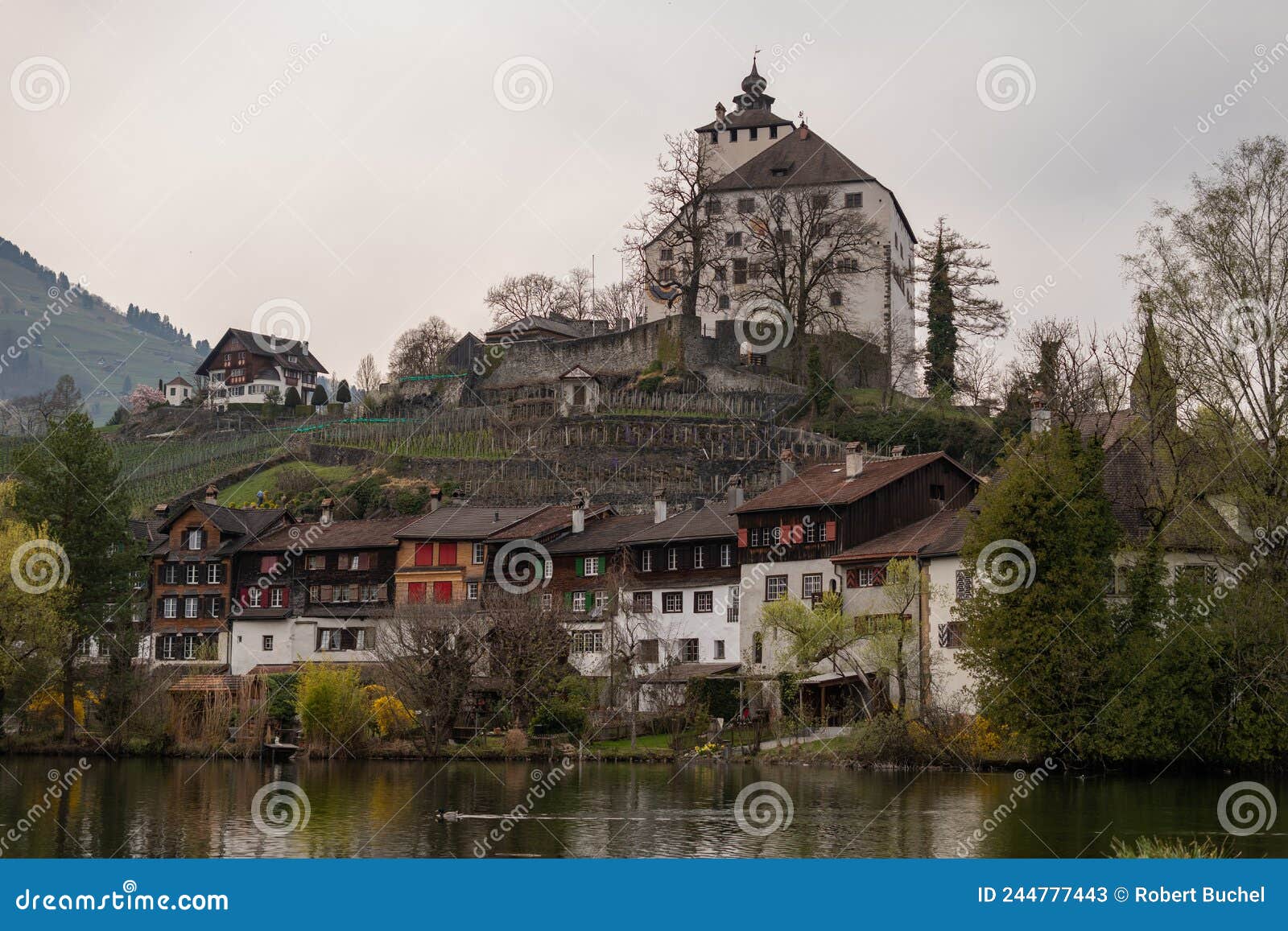 Werdenberg Castle in Buchs in Switzerland Editorial Stock Photo - Image ...