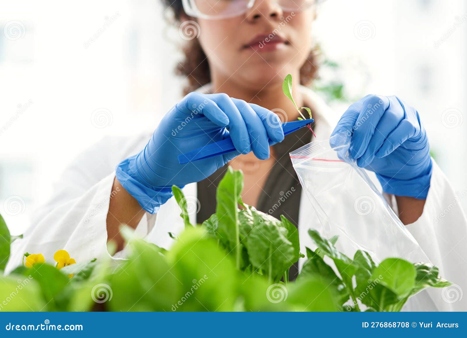 Were All Doing What it Takes To Save the World. a Scientist Getting ...