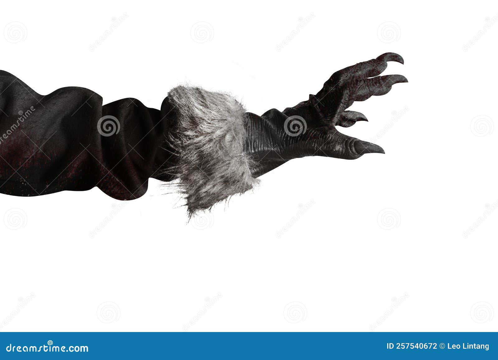 Werewolf hand stock photo. Image of beast, halloween - 257540672
