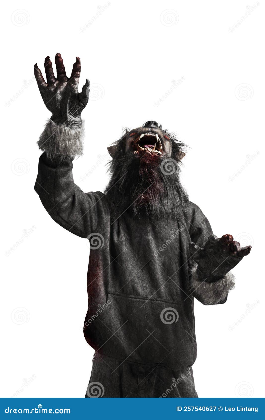 Werewolf stock image. Image of male, costume, mythology - 257540627