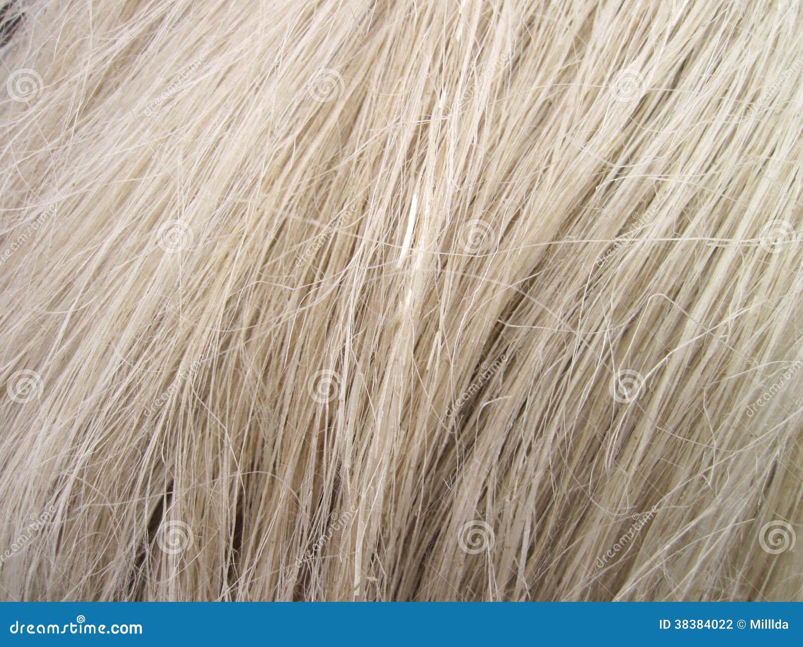 Werg stockfoto. Bild von oberfläche, makro, faser, nahaufnahme - 38384022