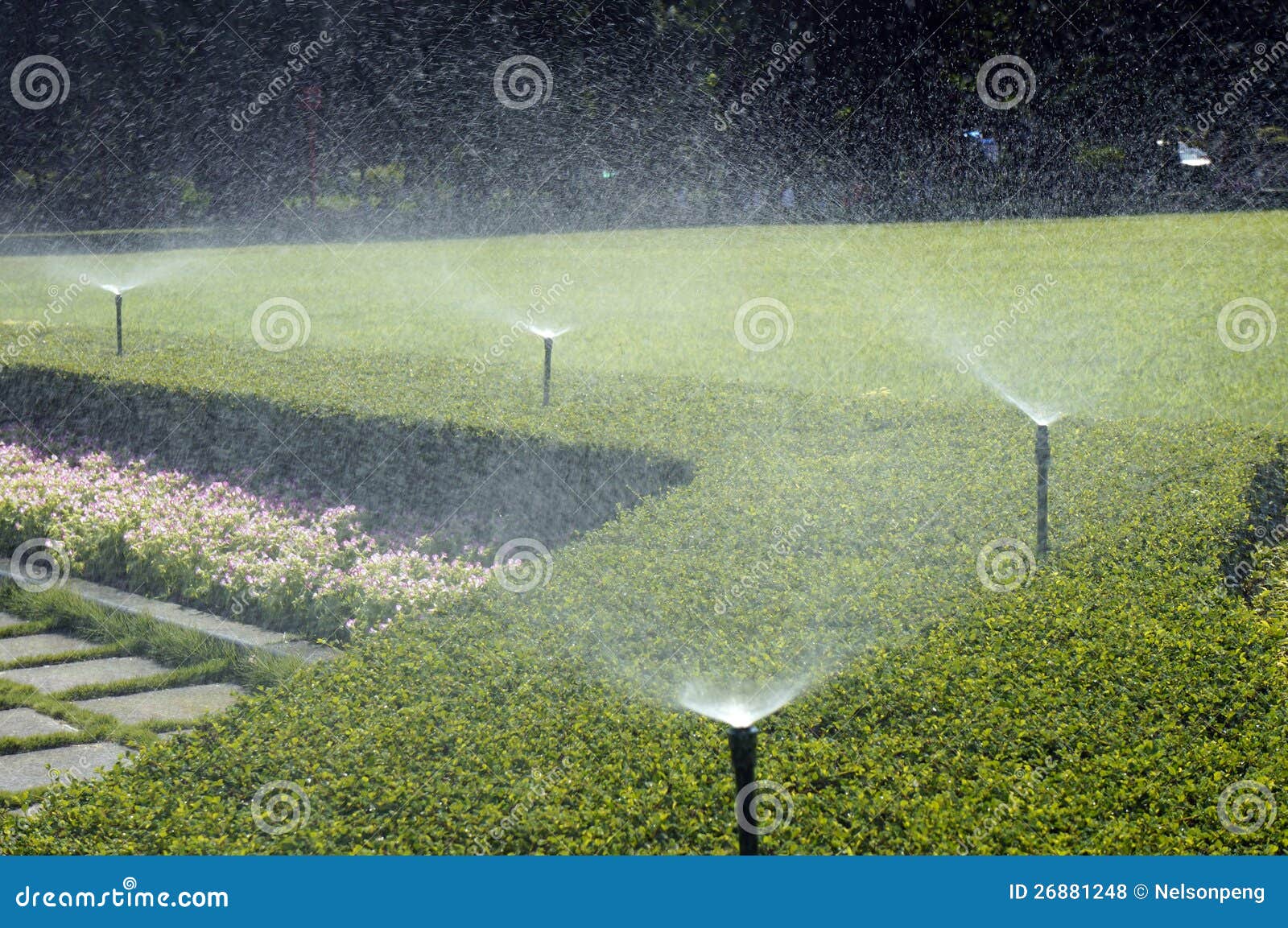 Werkende Sproeiers in Weide Stock Foto - Image of nevel, water: 26881248