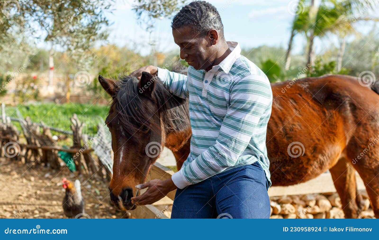 Werknemer Die Paard Vervoert Stock Foto - Image of naughty, buiten ... Werknemer Die Paard Vervoert Stock Foto - Image of naughty, buiten ...