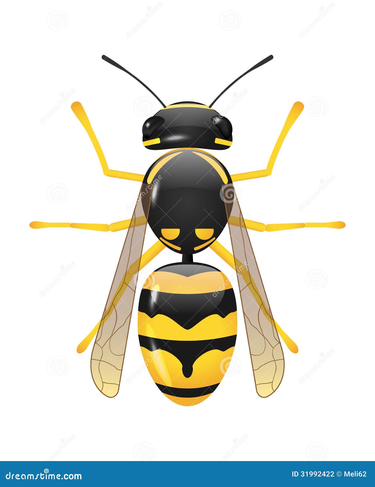Wesp vector illustratie. Illustration of klein, insect - 31992422