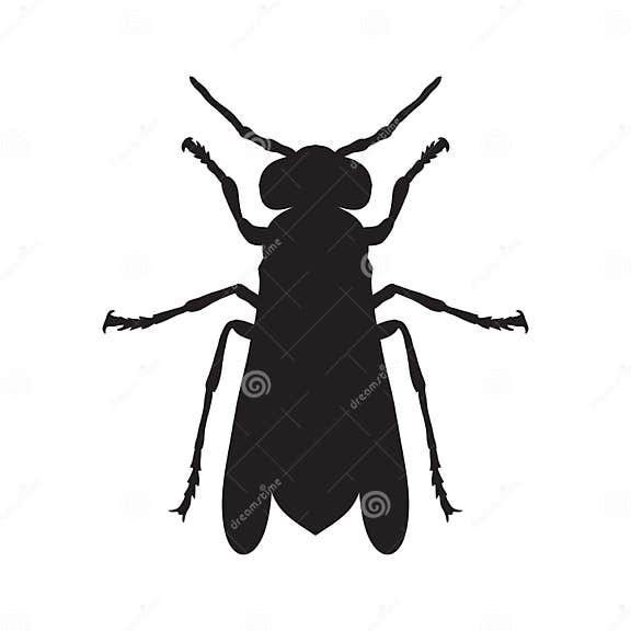 Wesp Schets Van Wesp Wesp Op Wit Vector Illustratie - Illustration of ...