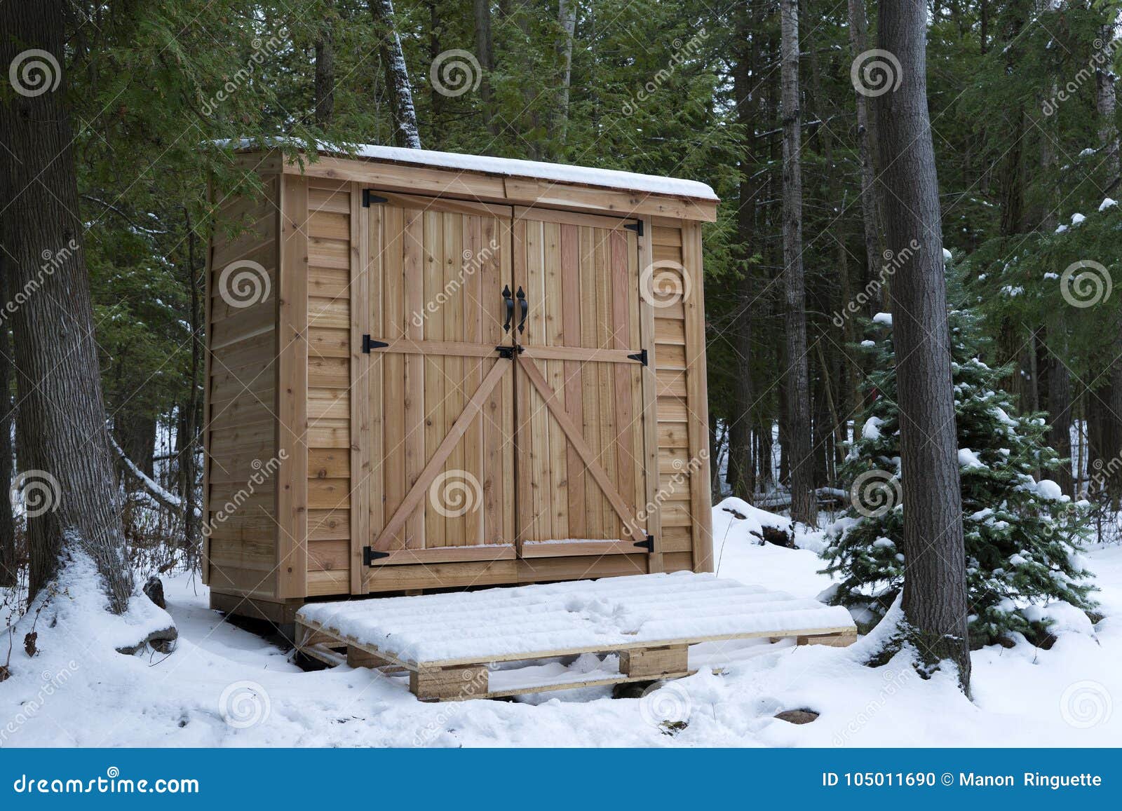 West-Cedar Storage Shed Im Winter-Wald Stockfoto - Bild von struktur ...