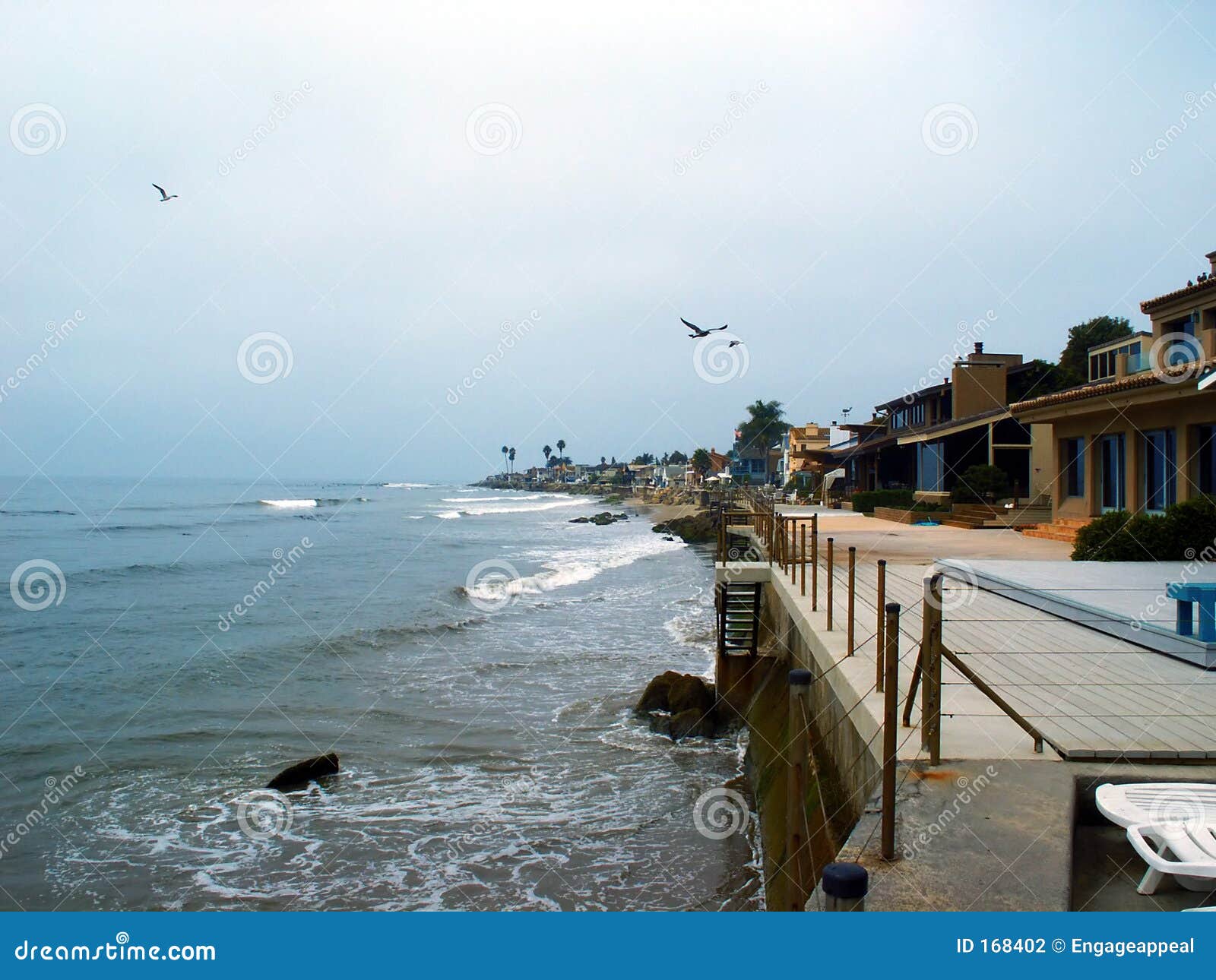West Coast Beach Houses stock photo. Image of beach, body - 168402