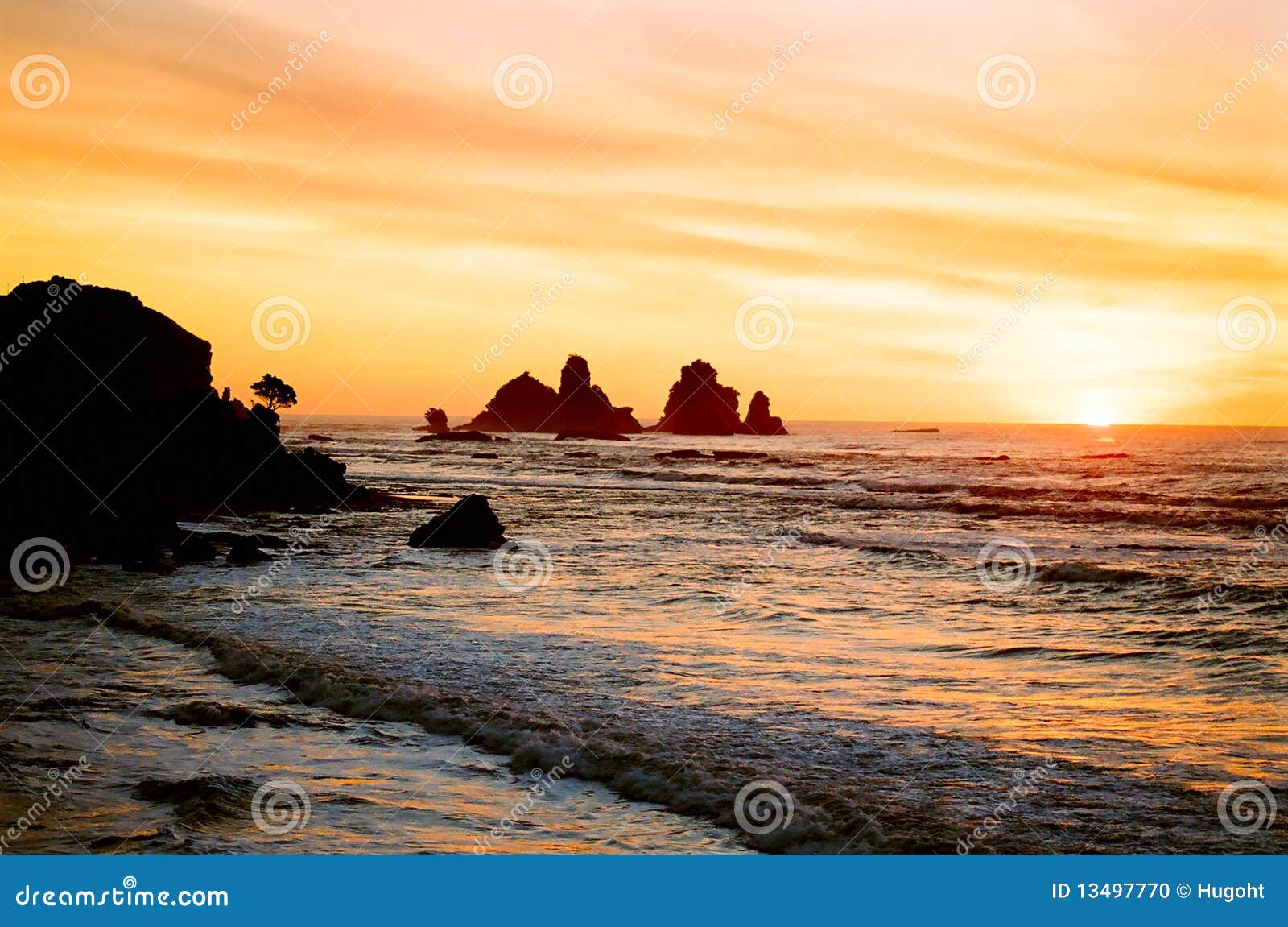 West Coast First Nations Totem Poles Banner, Stanley Park, Vancouver ...