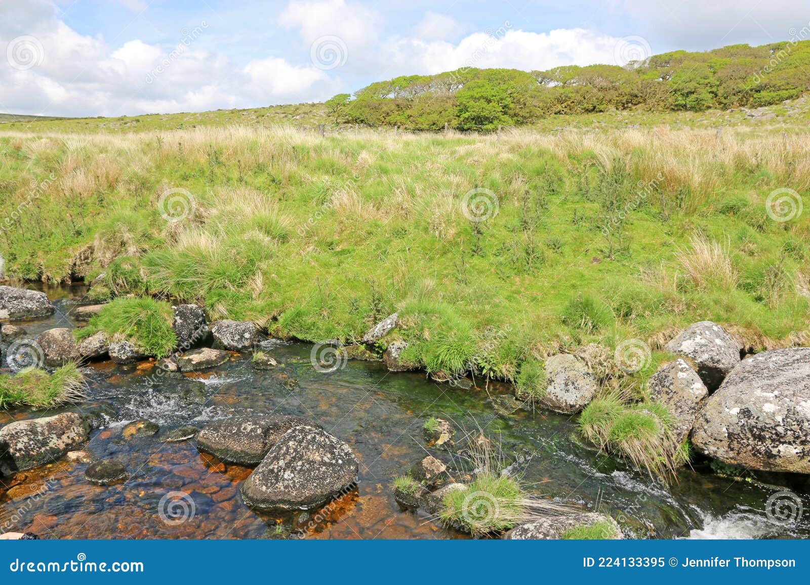 West Dart River in Dartmoor, Devon Stock Image - Image of beautiful ...