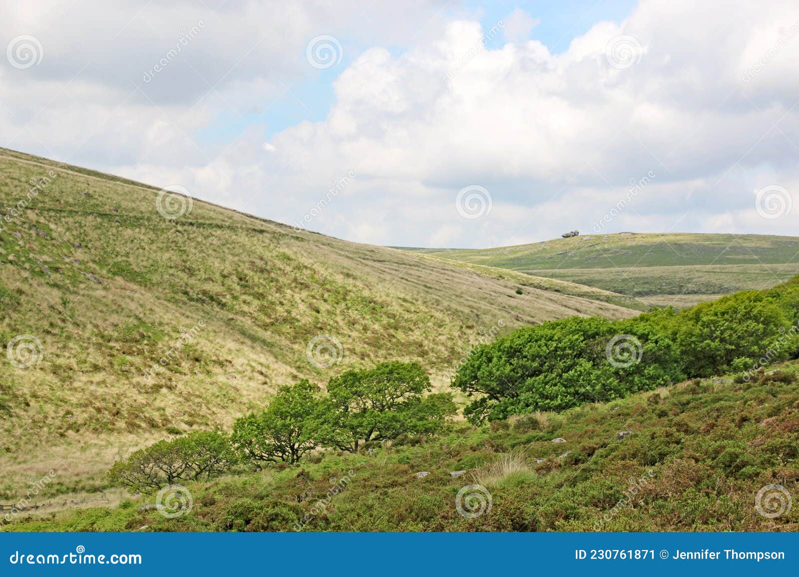 West Dart River Valley in Dartmoor Stock Image - Image of england ...