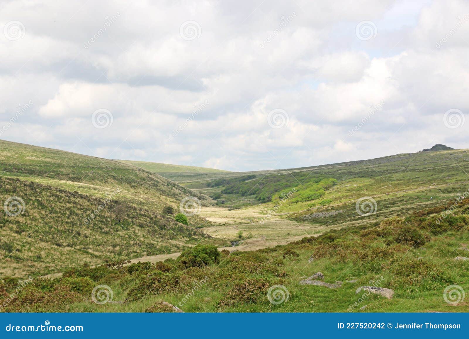 West Dart River Valley in Dartmoor, Devon Stock Photo - Image of nature ...