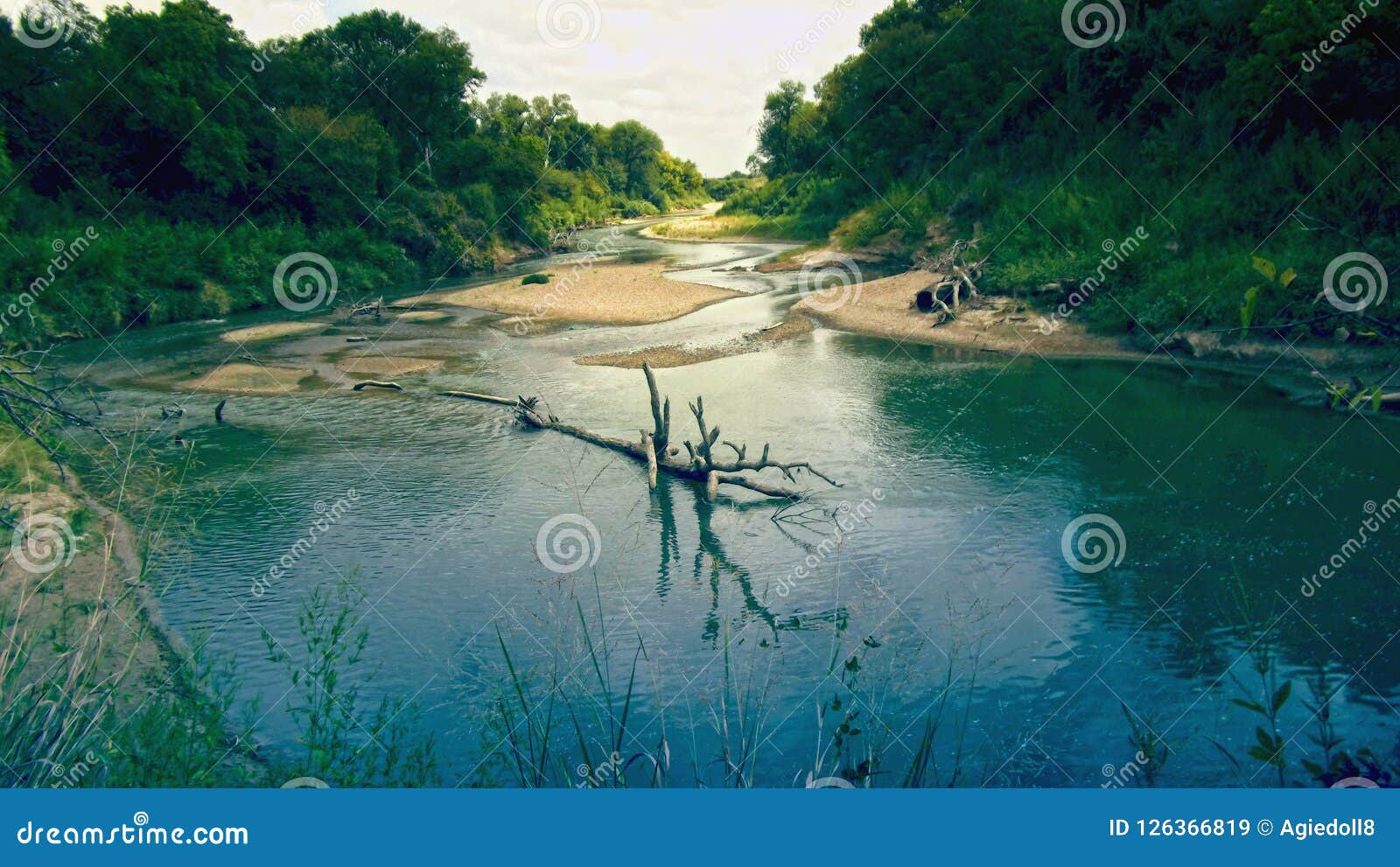 West Fork Trinity River stock image. Image of trinity - 126366819