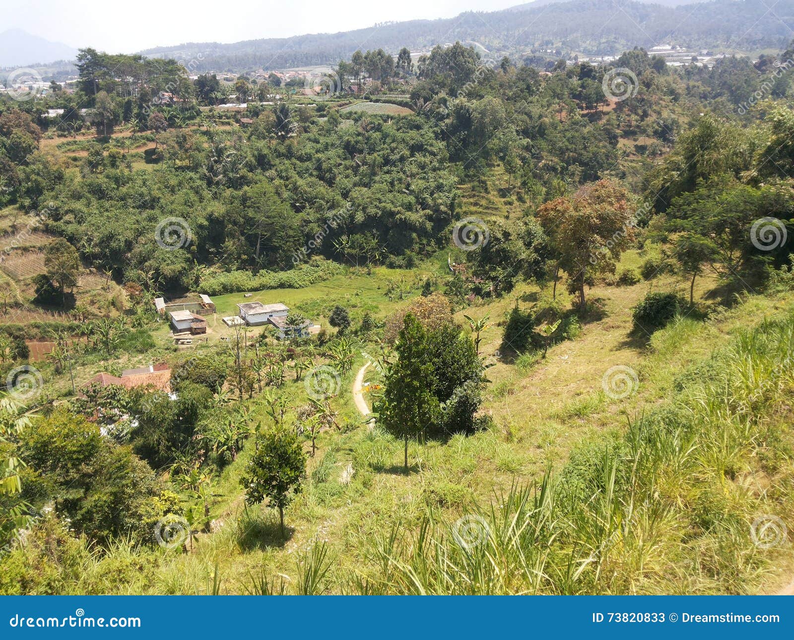 West Java Landscape 6 stock image. Image of hill, ricefield - 73820833