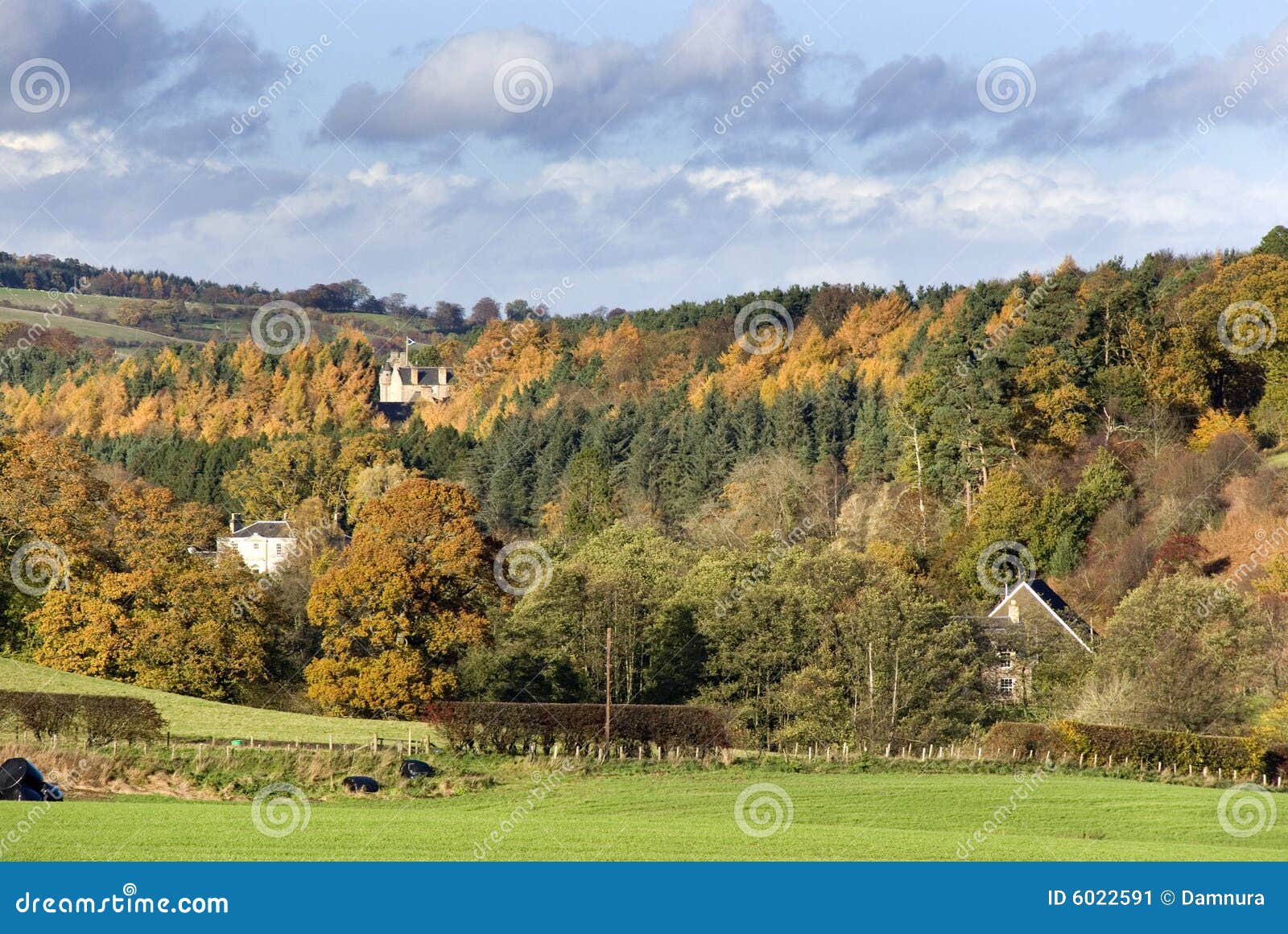 West Lothian, Scotland, Autumn 2 Stock Image - Image of tree, scotland ...
