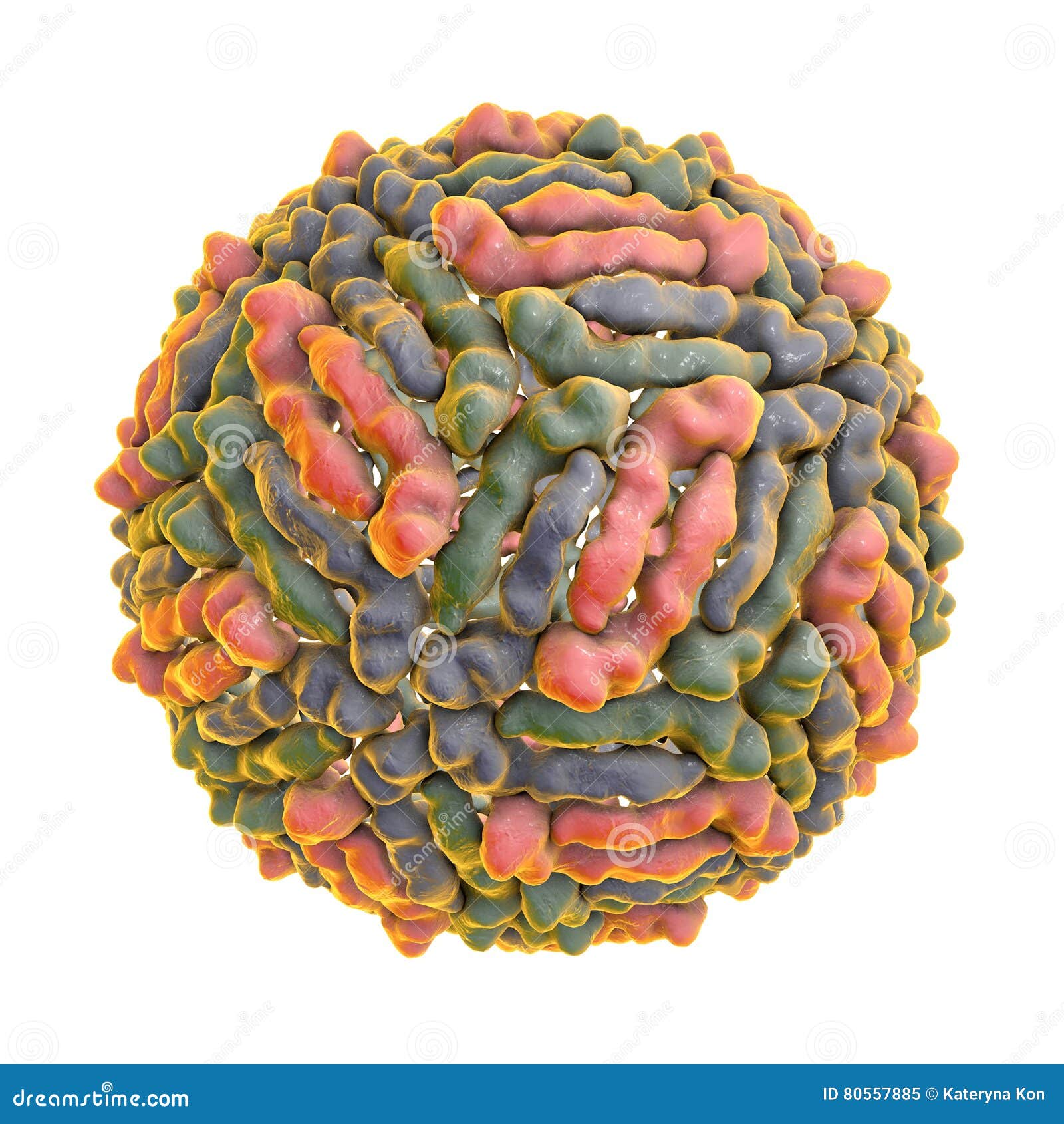 West Nile Virus Under Microscope