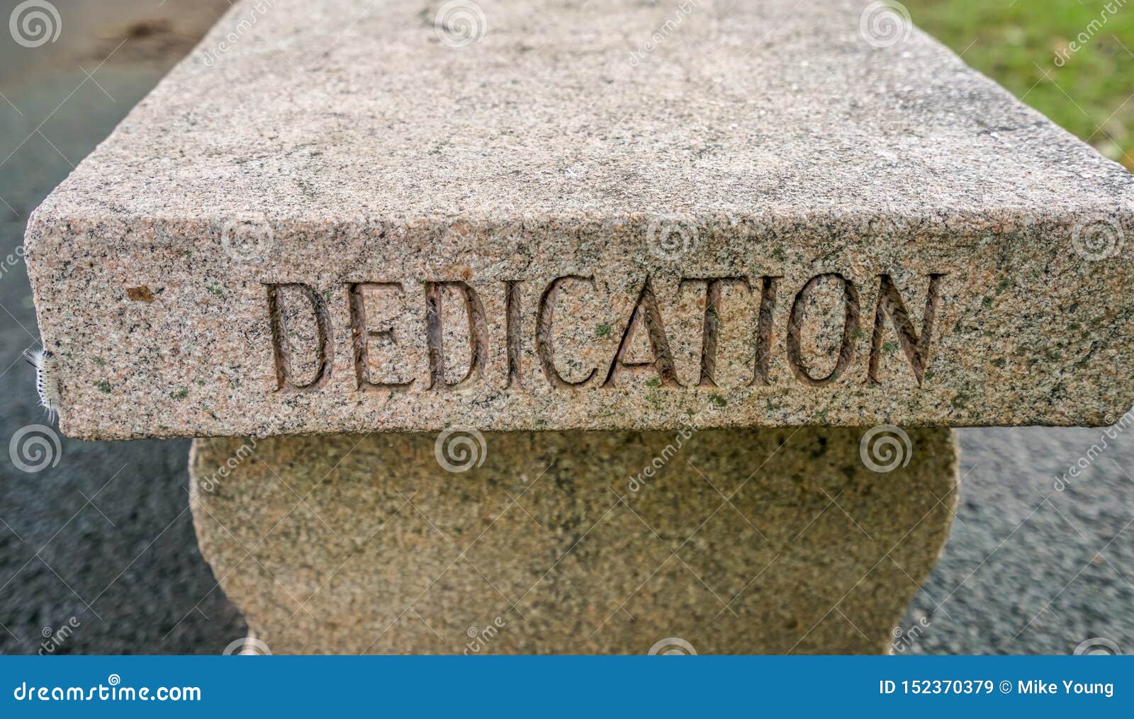 The West Point Dedication Bench. Stock Image - Image of word, west ...