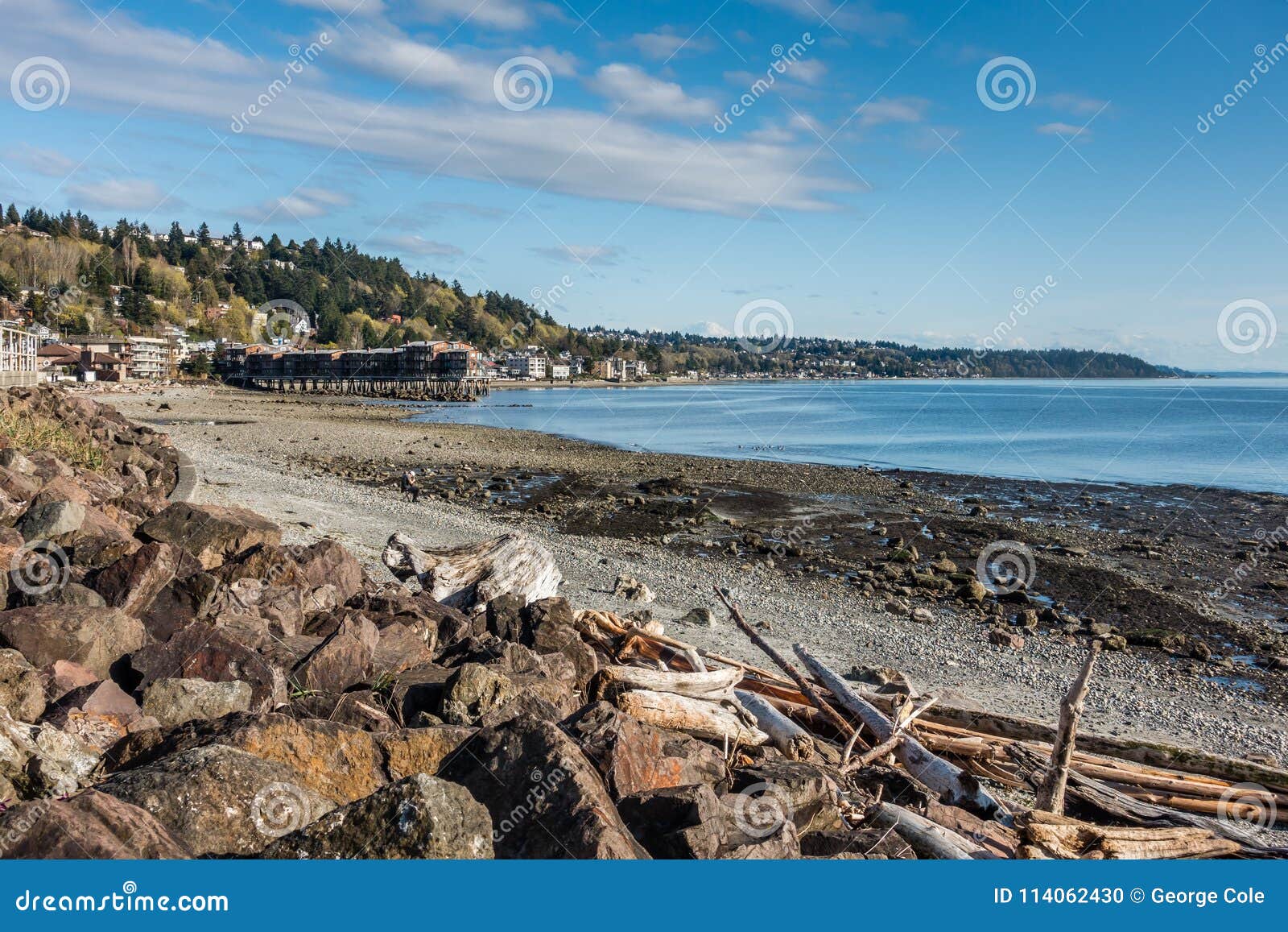 West Seattle Coast stock photo. Image of shoreline, tide - 114062430