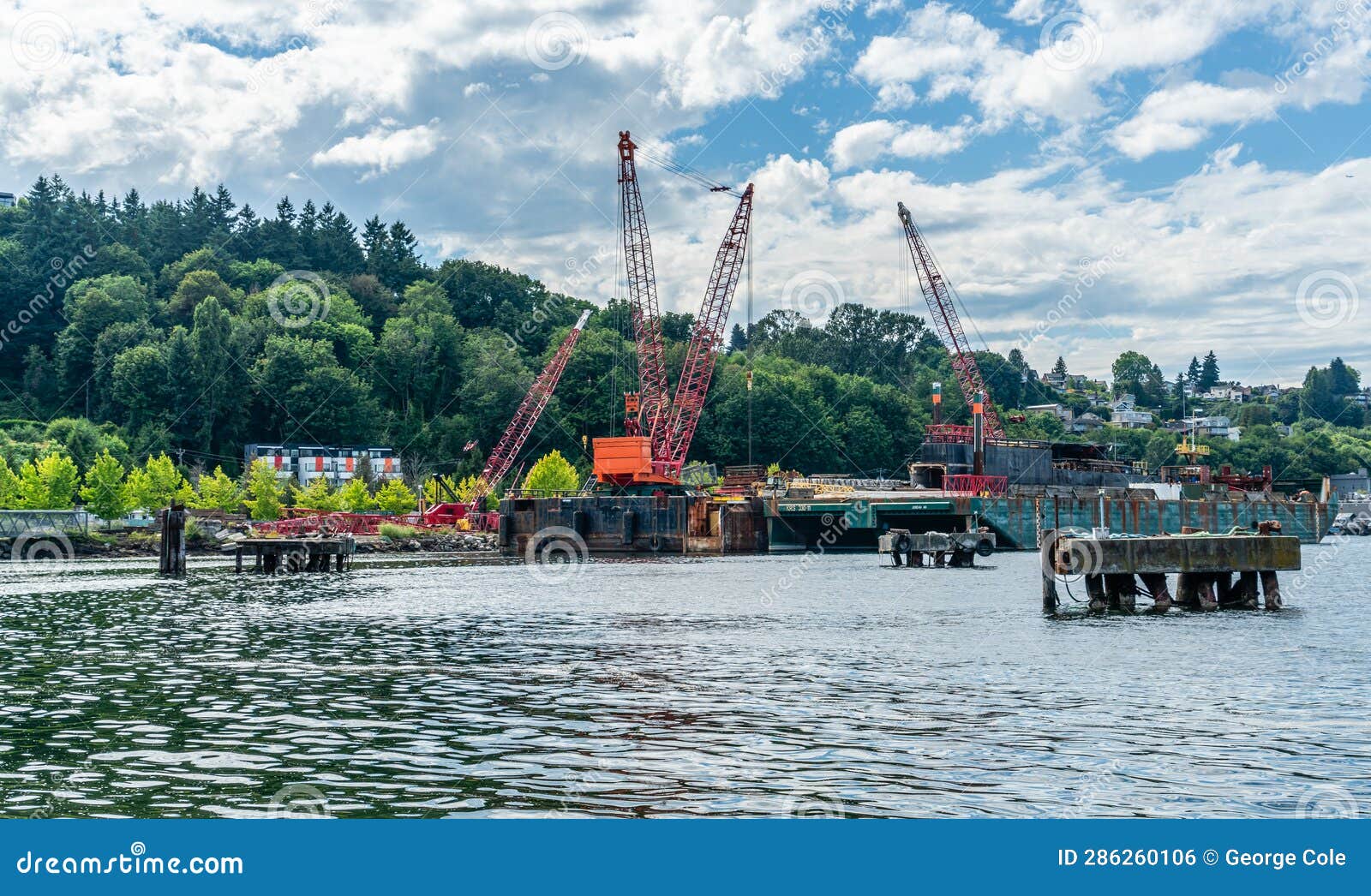 West Seattle Cranes stock photo. Image of docks, outdoors - 286260106
