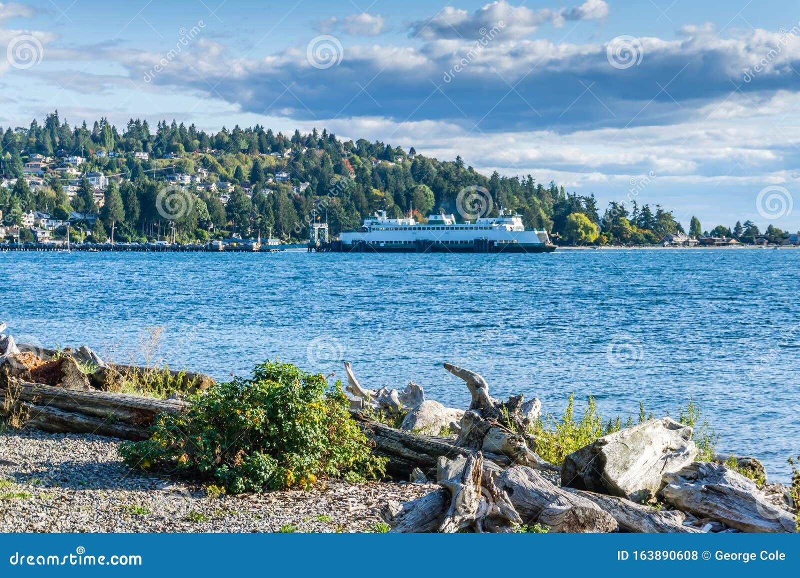 West Seattle Ferry Terminal Scene 5 Stock Photo - Image of scenic ...