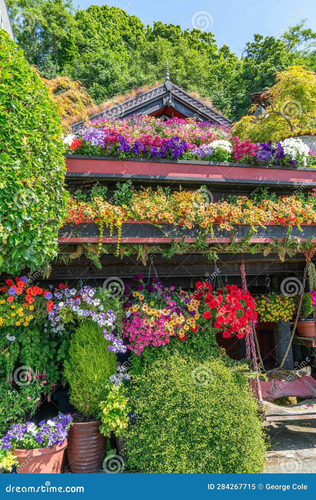 West Seattle Flower House 2 Stock Image - Image of destination ...