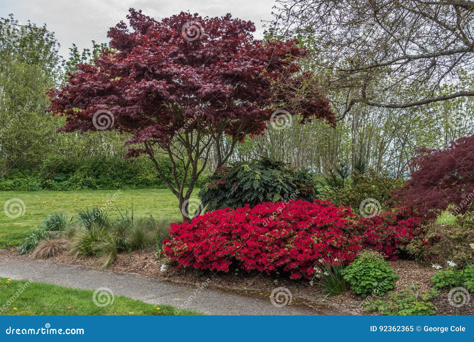 Seattle Hamilton Viewpoint Park Stock Photos - Free & Royalty-Free ...