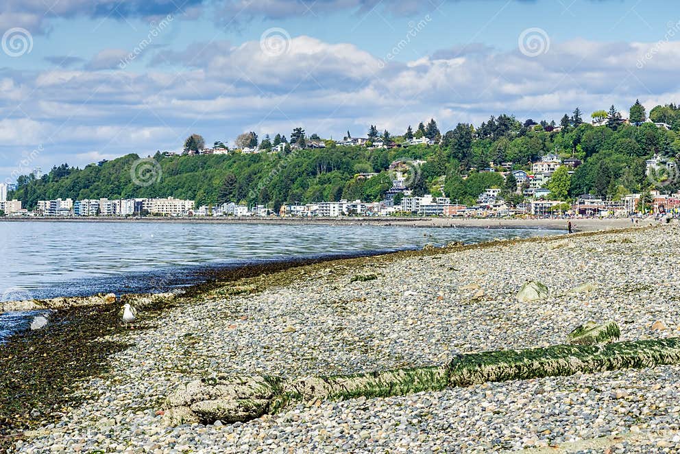 West Seattle Point View 3 stock image. Image of shoreline - 248658155