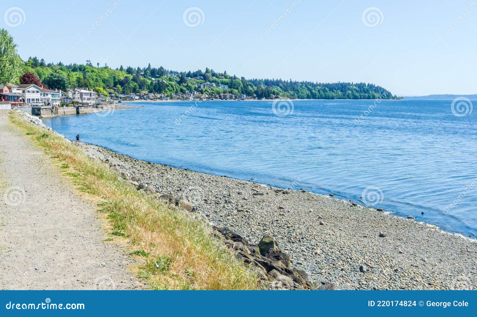 West Seattle Spring Shoreline Stock Photo - Image of washington ...