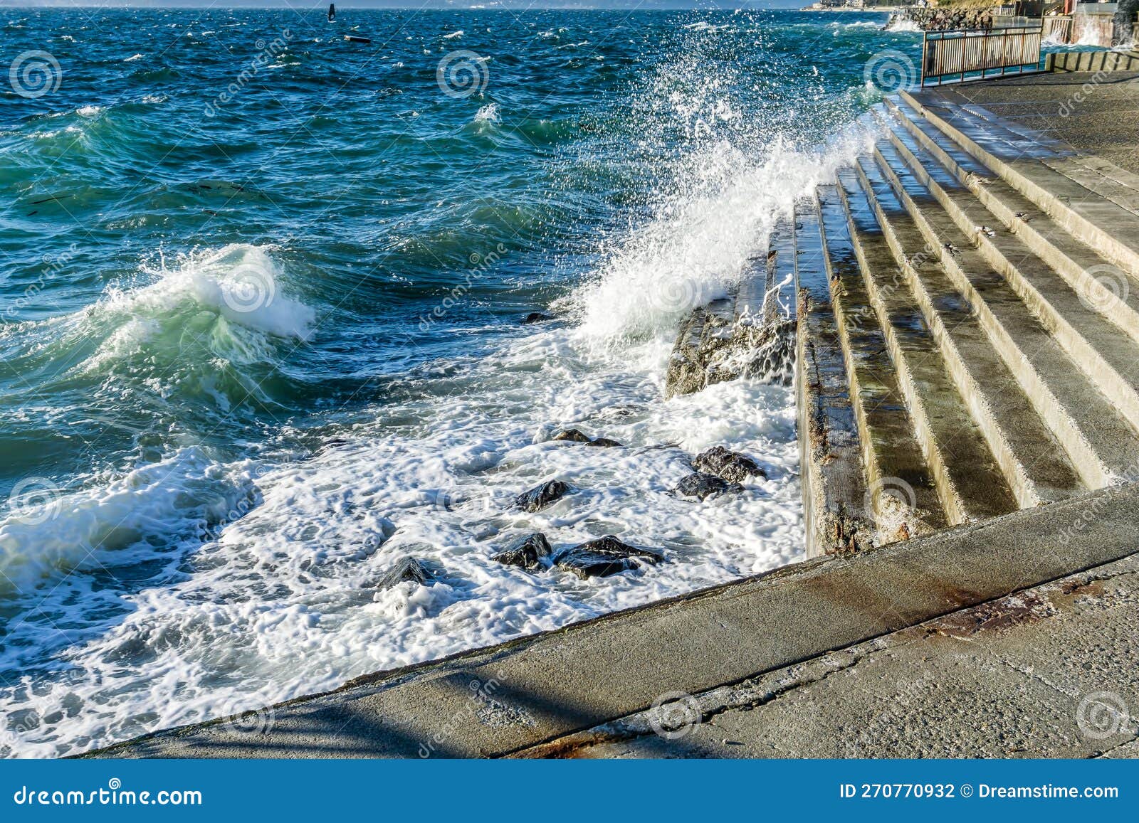 West Seattle Whitewater stock photo. Image of shoreline - 270770932