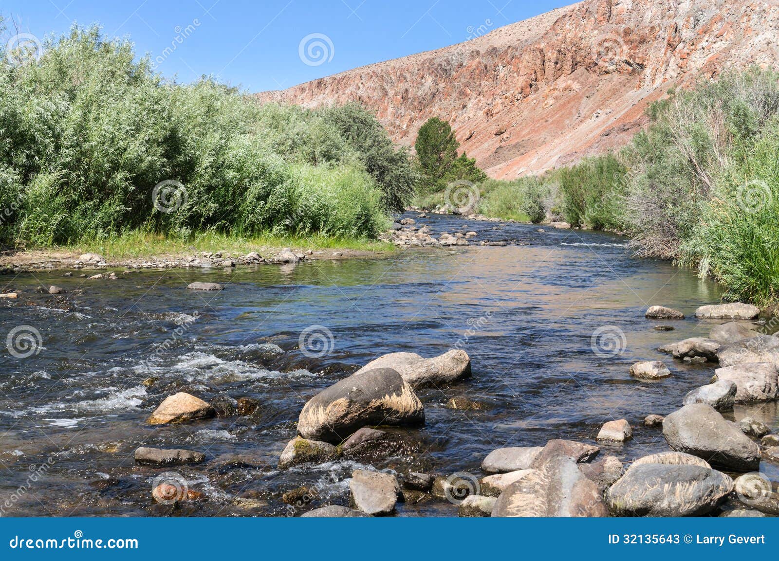 West Walker River in Wilson Canyon Stock Image - Image of flora, clean ...