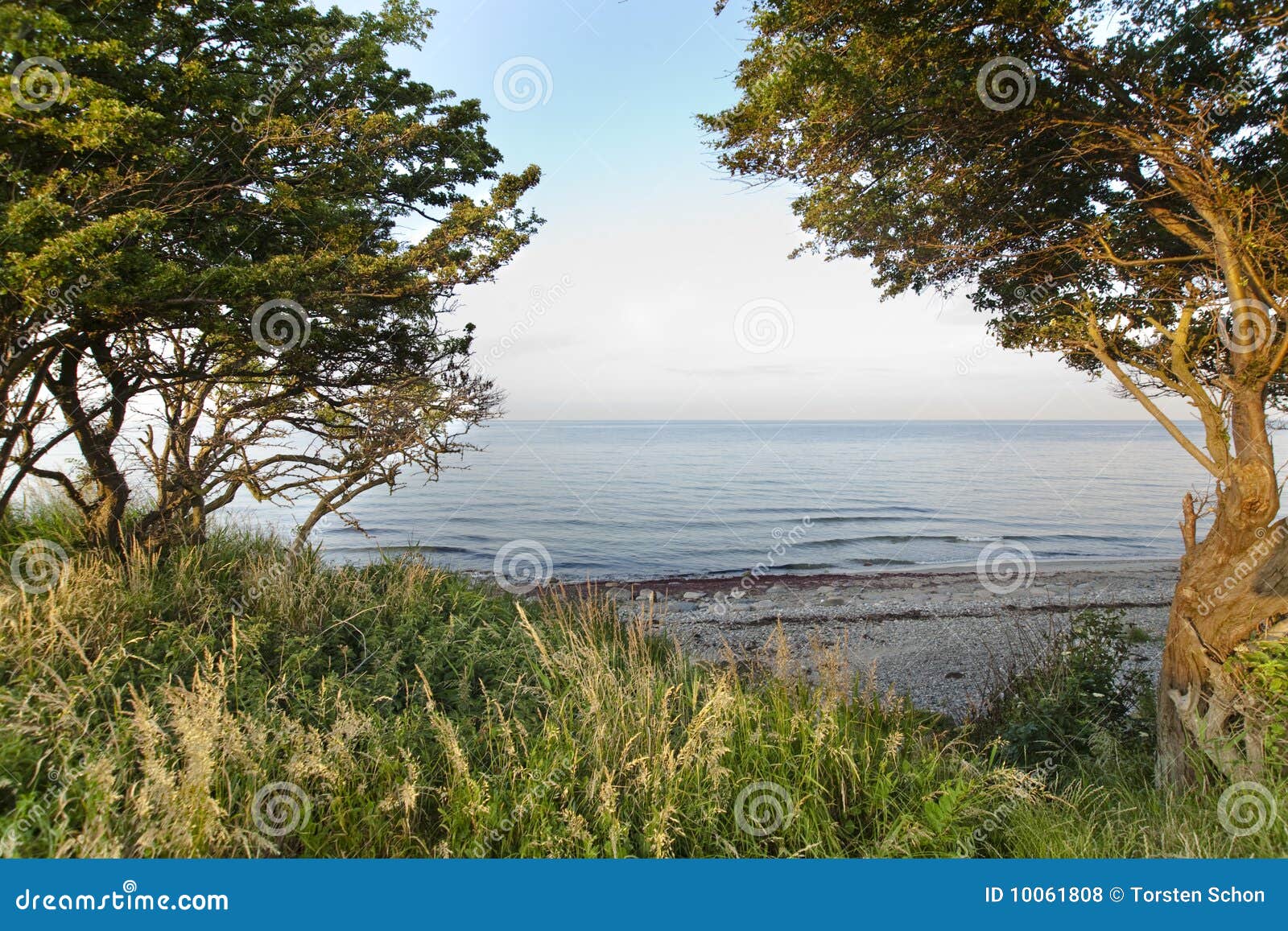 Westcoast of Fehmarn, Germany Stock Photo - Image of tree, horizon ...