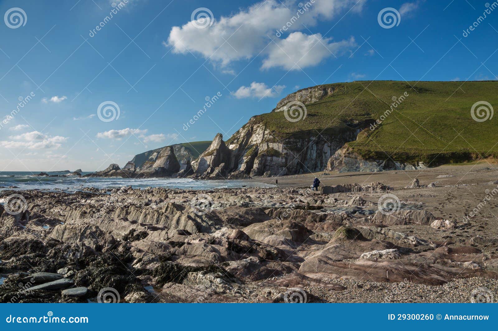 Westcombe Beach Devon stock photo. Image of blue, seascape - 29300260