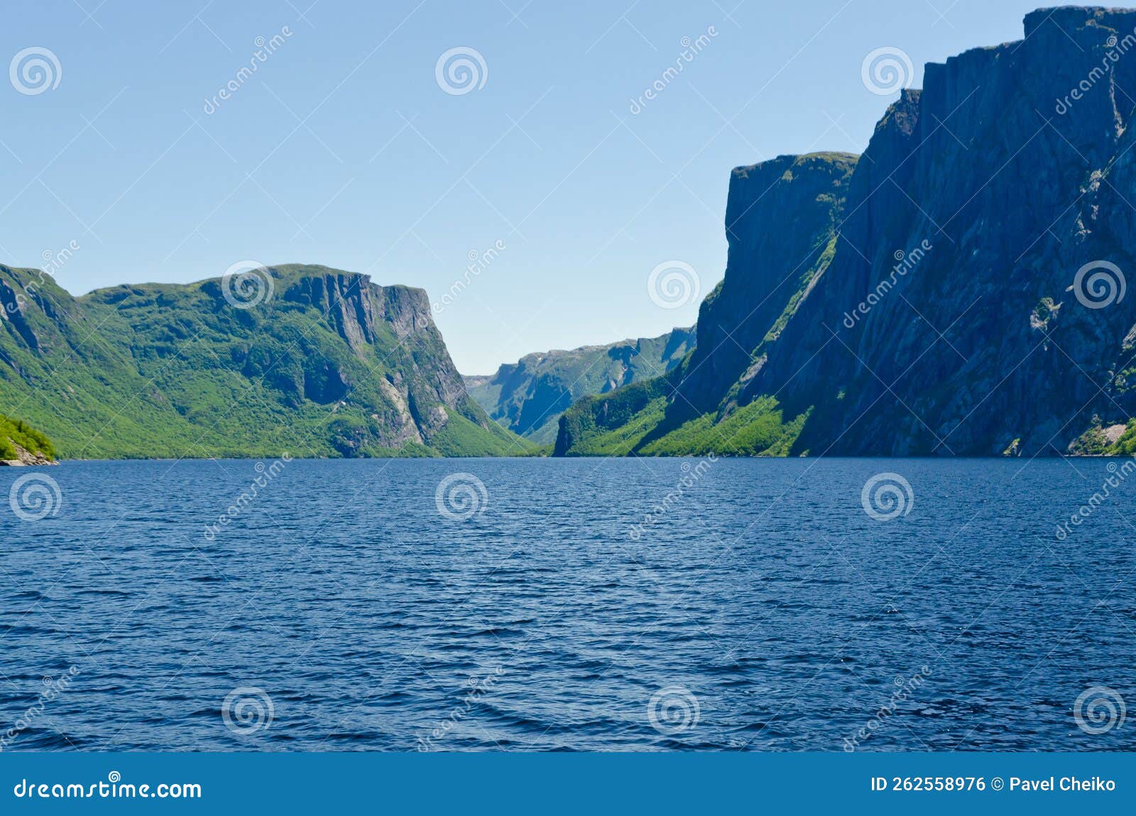 Western Brook Pond stock photo. Image of cliffs, pond - 262558976