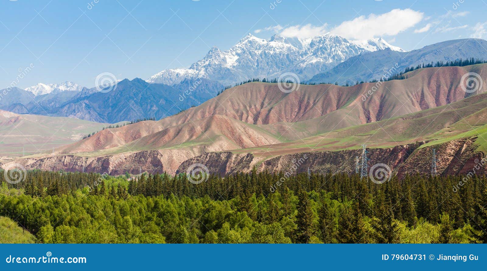 Western China stock image. Image of wild, tree, high - 79604731