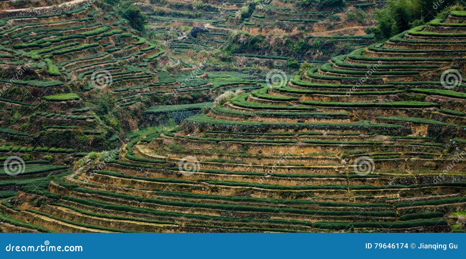 Western China stock photo. Image of open, grow, western - 79646174