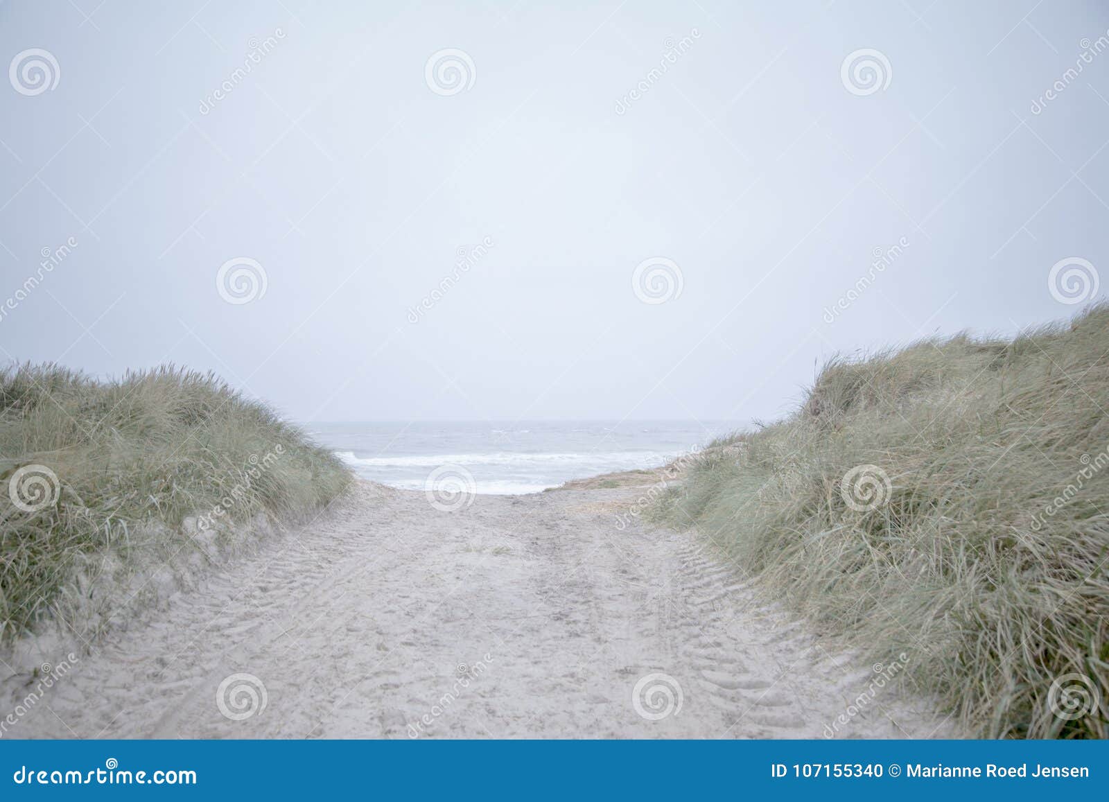 The Western Coast of Denmark Stock Photo - Image of ocean, denmark ...