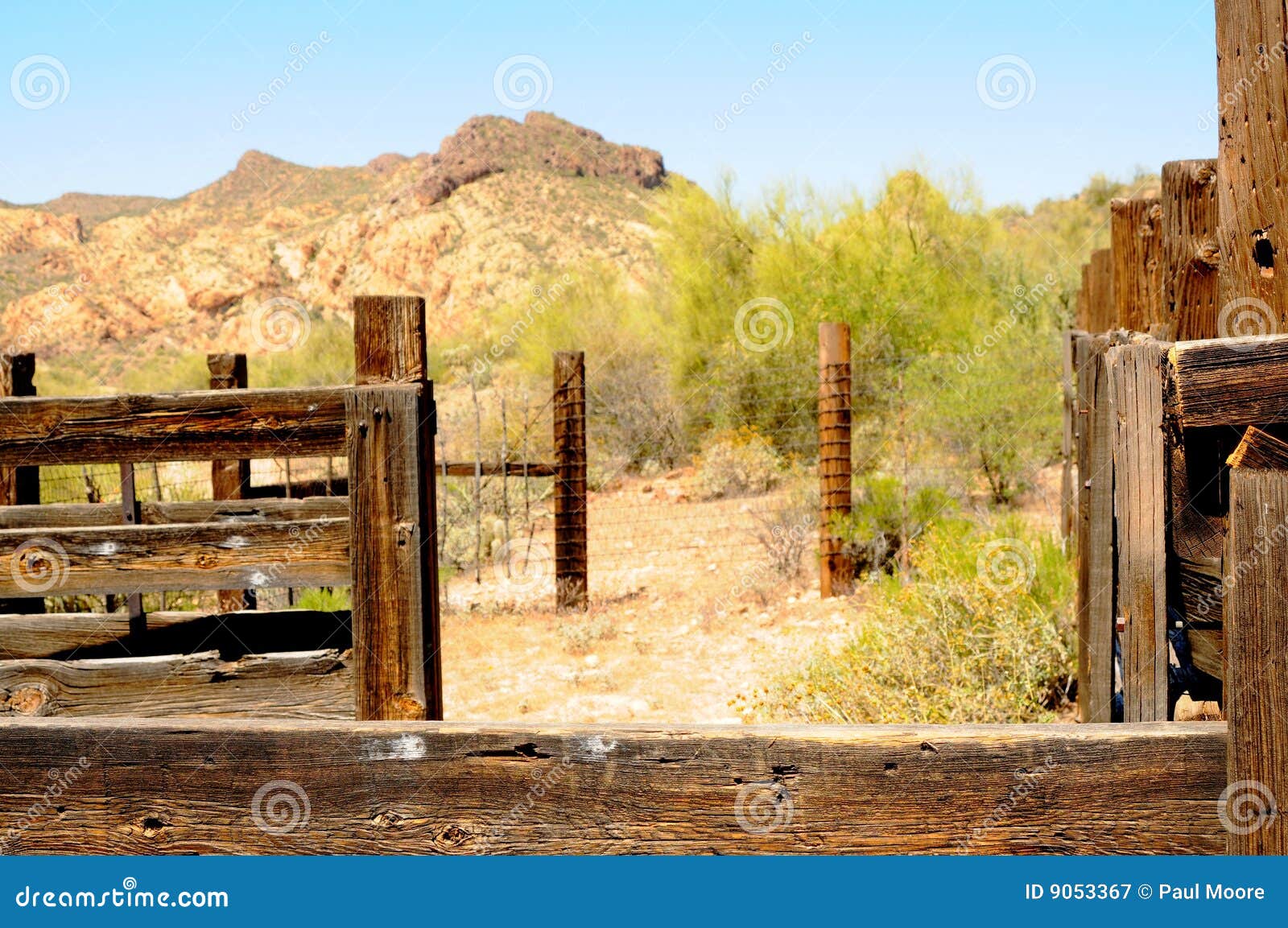 Western Corral stock image. Image of high, animals, fence - 9053367