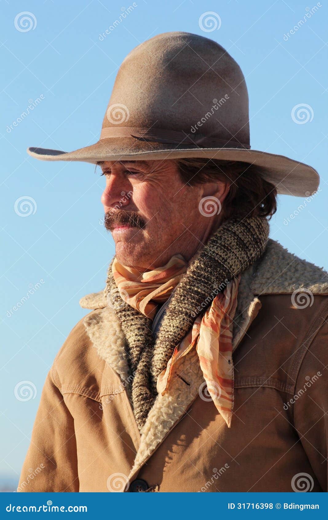 Western Cowboy stock photo. Image of cowboy, american - 31716398
