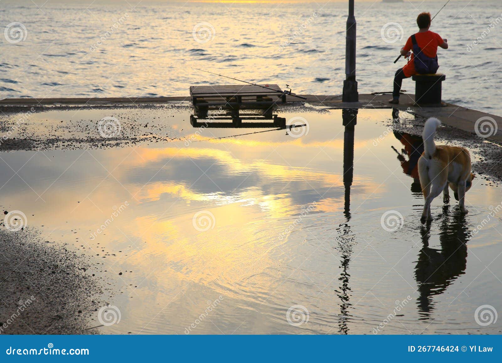 The Western District Public Cargo Working Area 2013 May 2013 Editorial ...