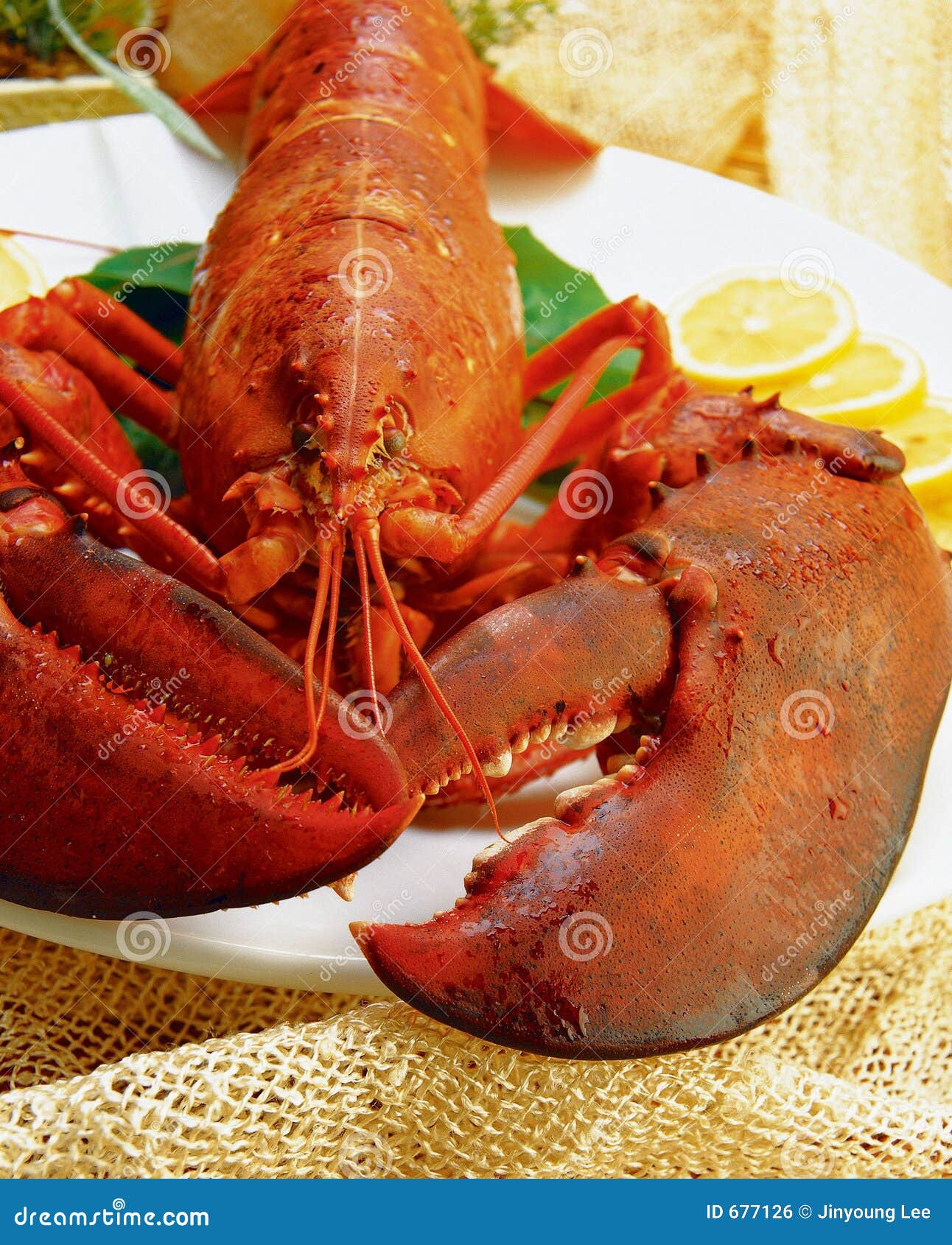 Western Food stock photo. Image of lobster, overseas, close - 677126