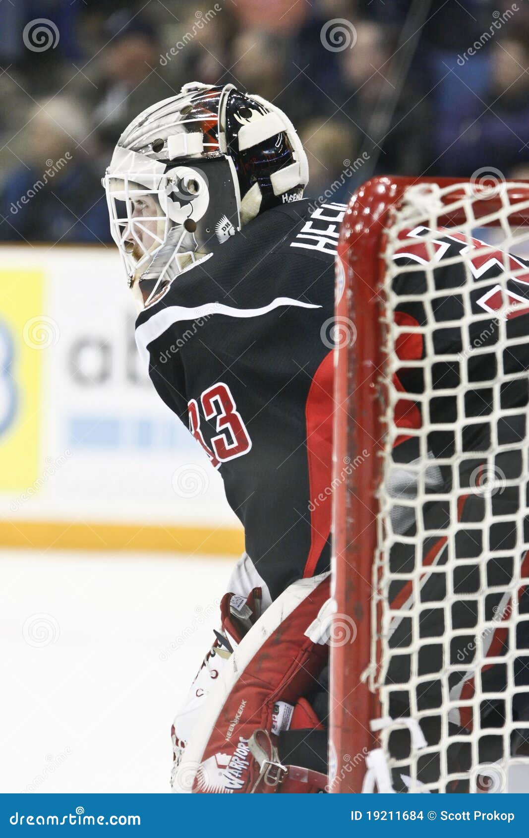 Western Hockey League (WHL) Game Editorial Stock Image - Image of moose ...