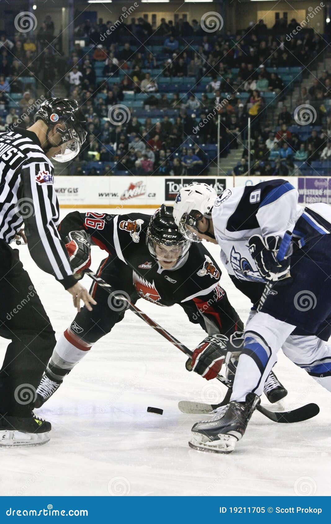 Western Hockey League (WHL) Game Editorial Image - Image of saskatoon ...