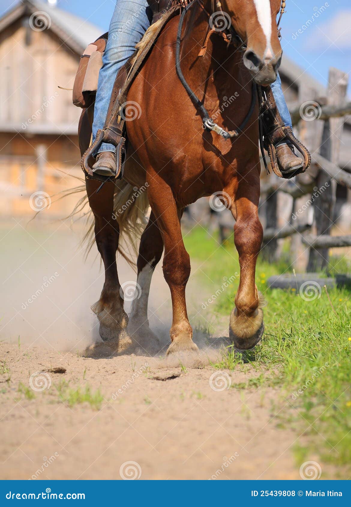Western horse riding stock photo. Image of buckaroo, animal - 25439808