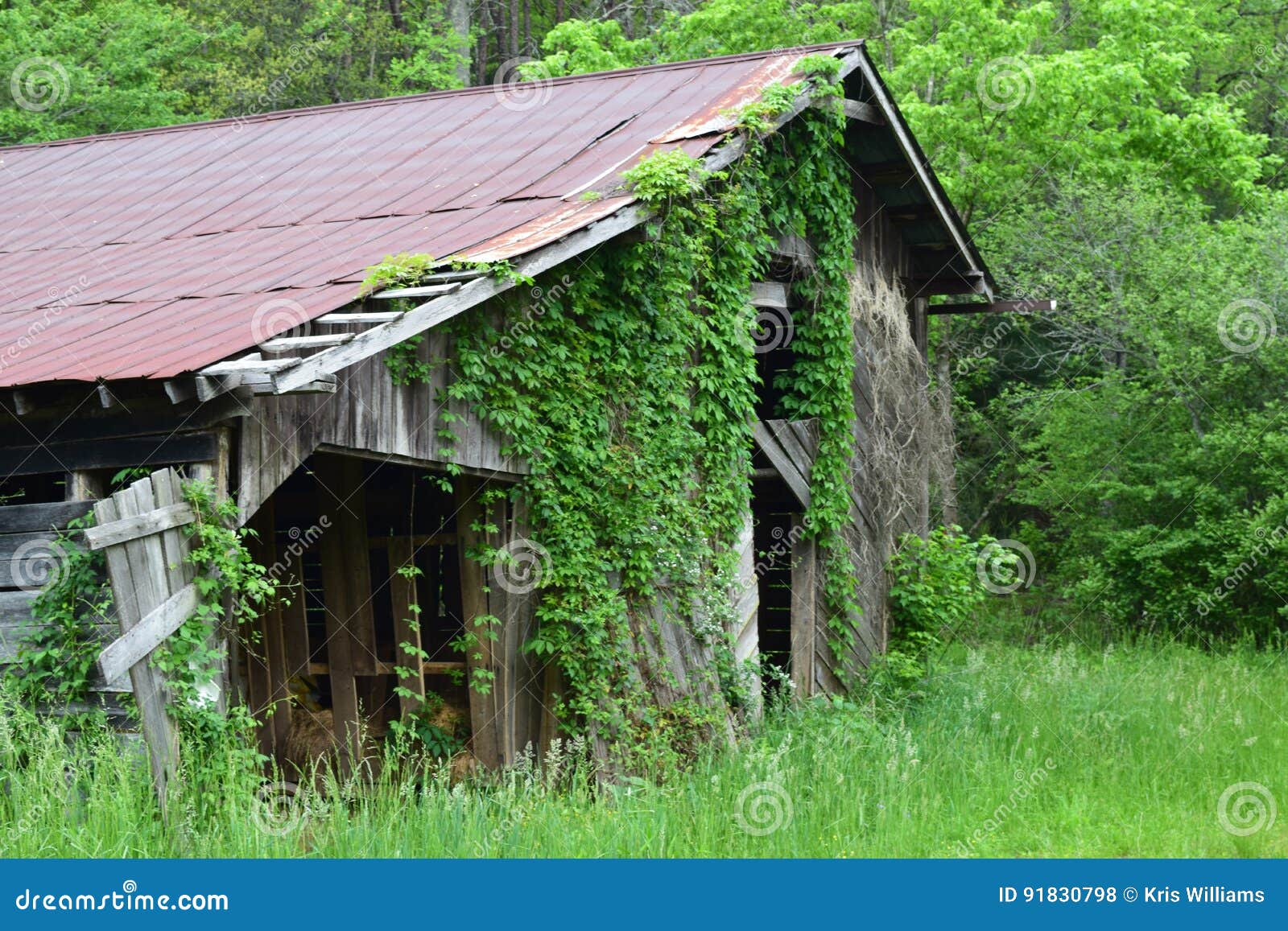 Western NC Mountain Old Barn Stock Photo - Image of mountain, farm ...