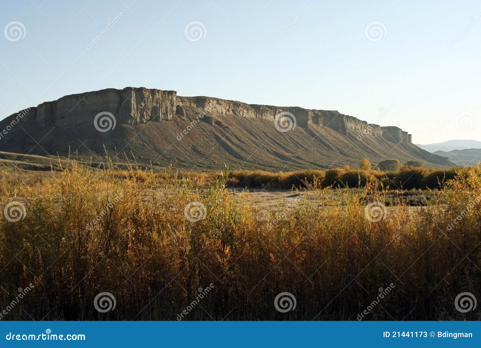 Western Plains Garter Snake Royalty-Free Stock Photography ...