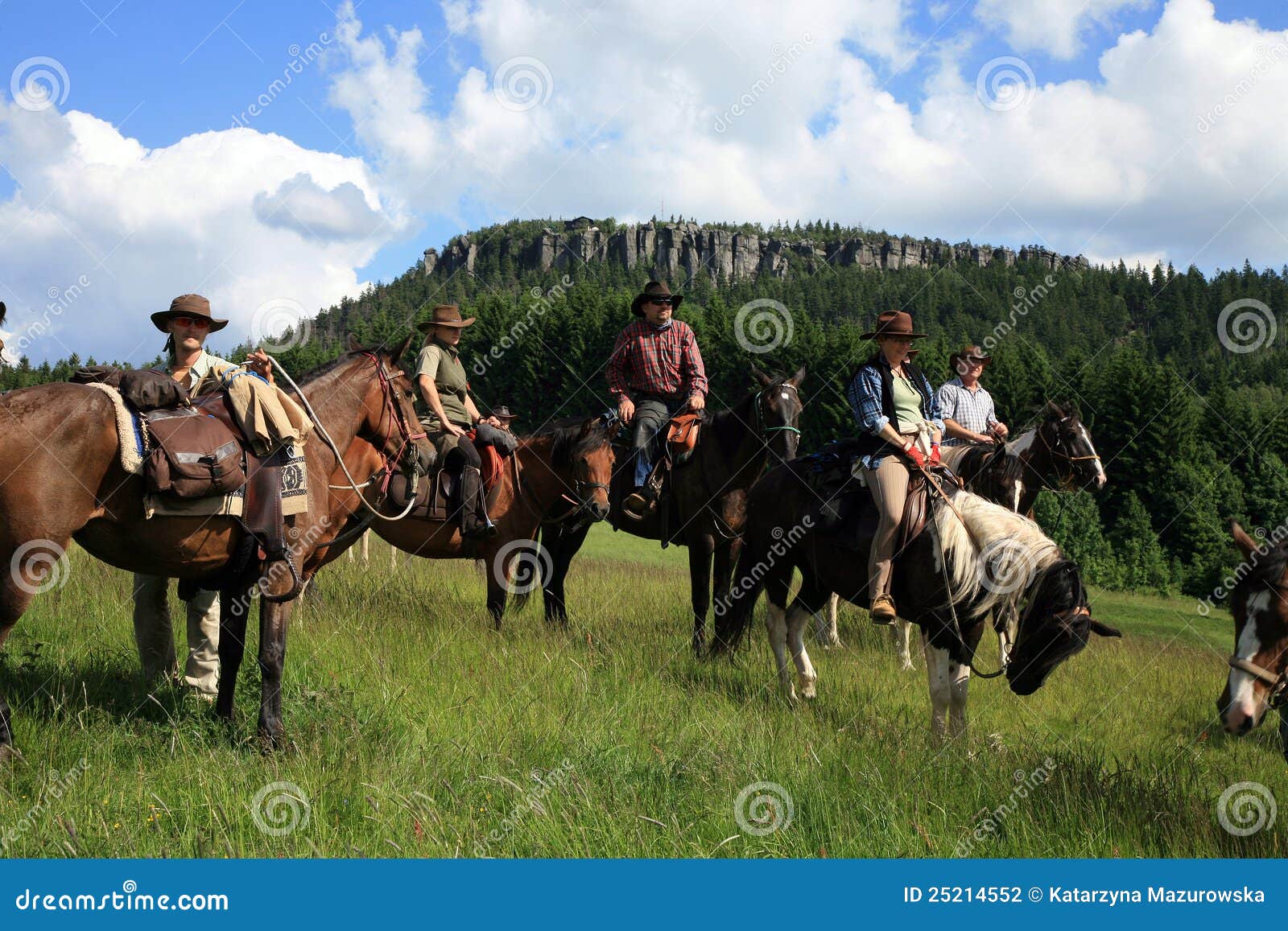 Western Race Horse - Cowboy Editorial Photography - Image of animal ...