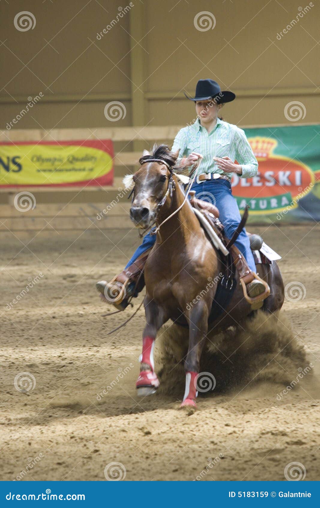 Western riding competition editorial stock image. Image of spin - 5183159 Western riding competition editorial stock image. Image of spin - 5183159