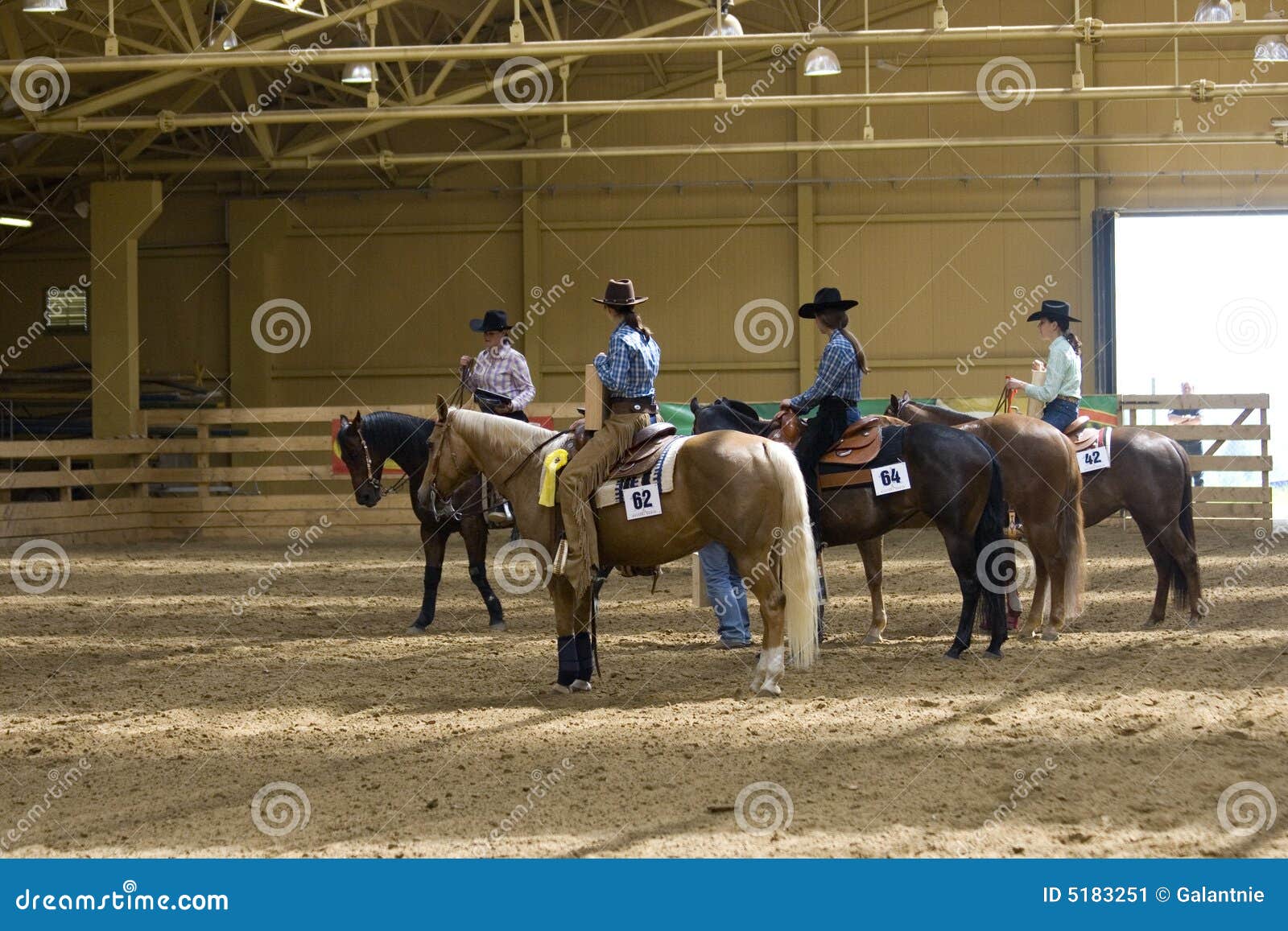 Western riding competition editorial photo. Image of reining - 5183251