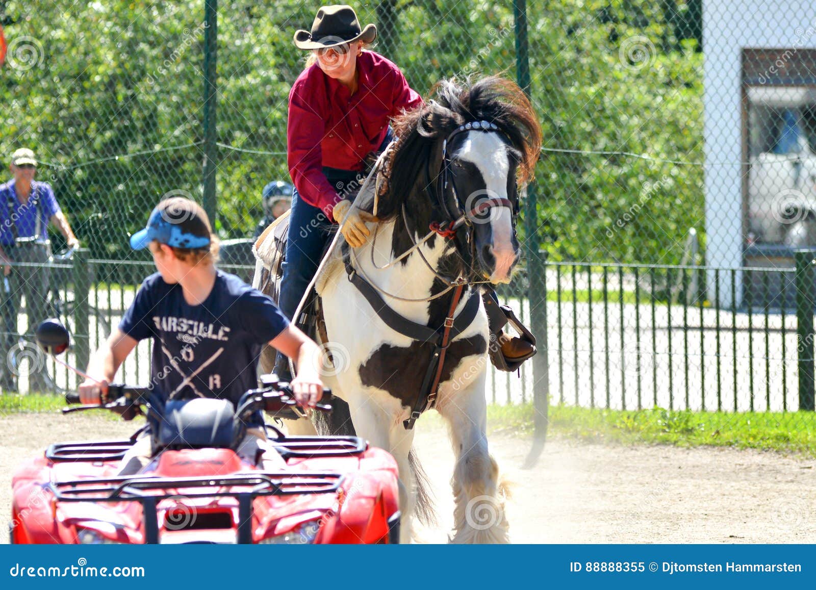 Western rodeo show editorial image. Image of active, horse - 88888355