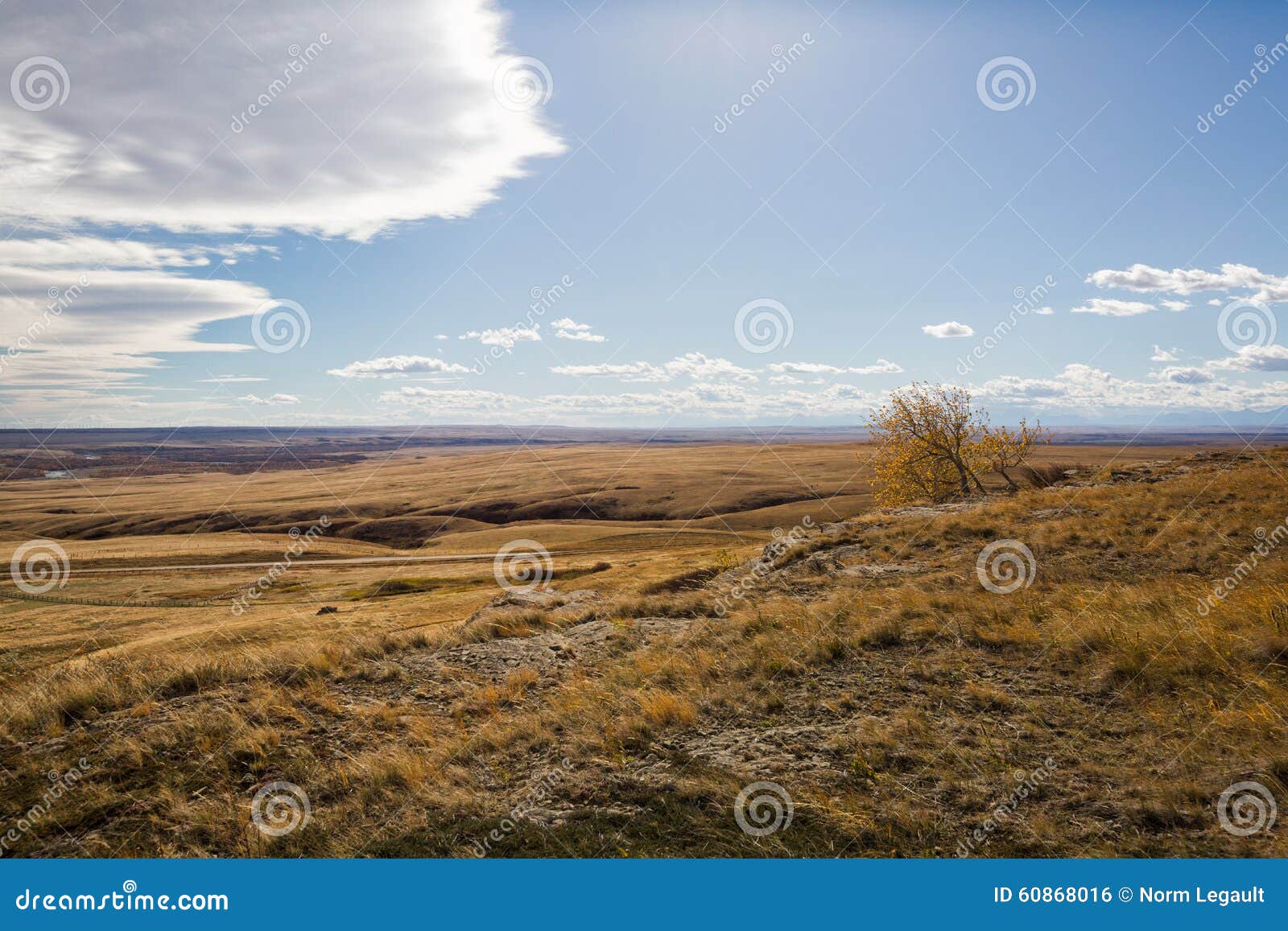Western Rolling Prairie with Lone Tree Stock Photo - Image of brown ...